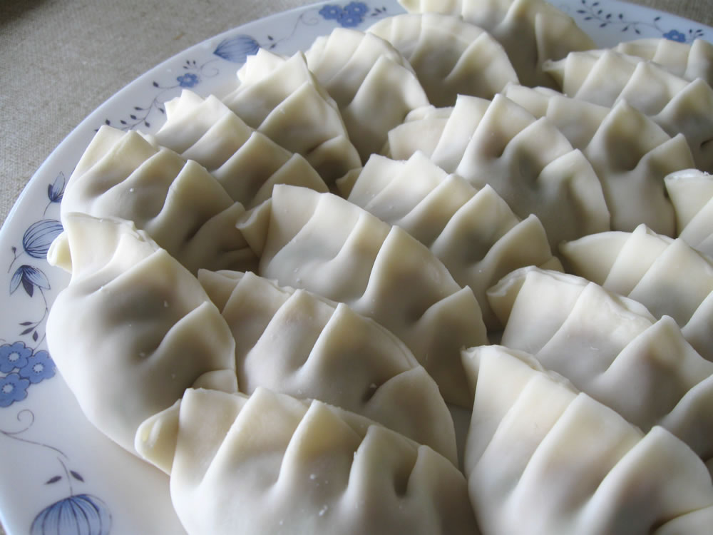 Gyoza – Hiroko's Recipes
