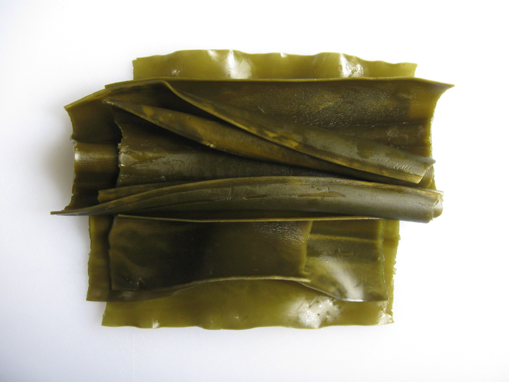 How To Thinly Slice Kombu (Kelp) – Hiroko's Recipes