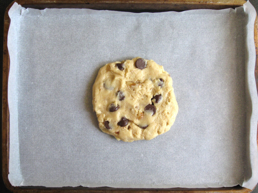 One Choco Chip Cookie – Hiroko's Recipes