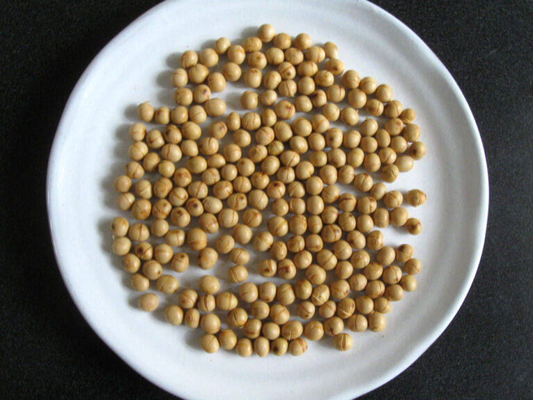 Kinako – Hiroko's Recipes